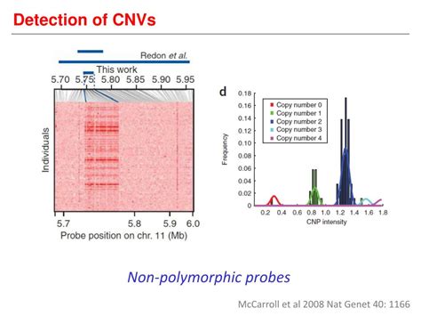 ppt copy number variants detection and analysis powerpoint