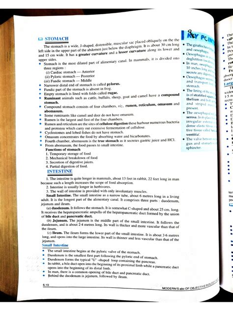 Objective Neet Bio Digestive System Pdf