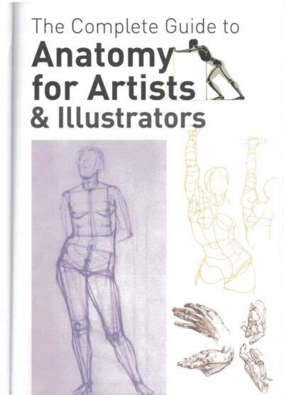 Nude Figure Drawing Poses Sketching Reference Guide