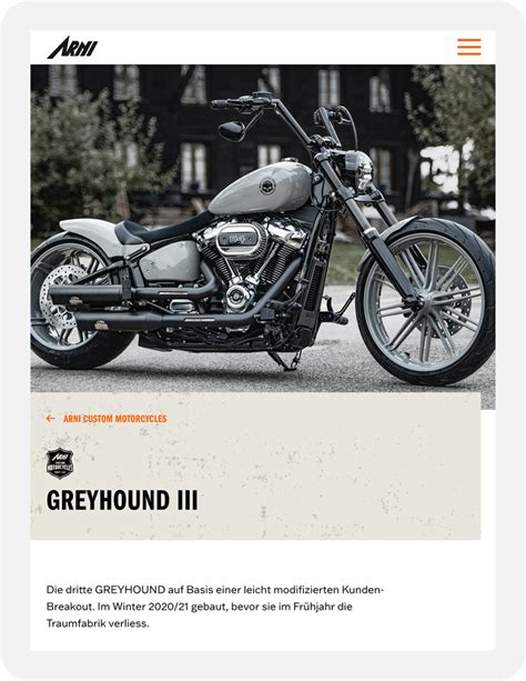 Arni Harley Portfolio Neofluxe