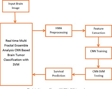 Figure From Real Time Multi Fractal Ensemble Analysis CNN Model For Optimizing Brain Tumor
