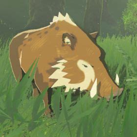 Woodland Boar Zelda Dungeon Wiki A The Legend Of Zelda Wiki