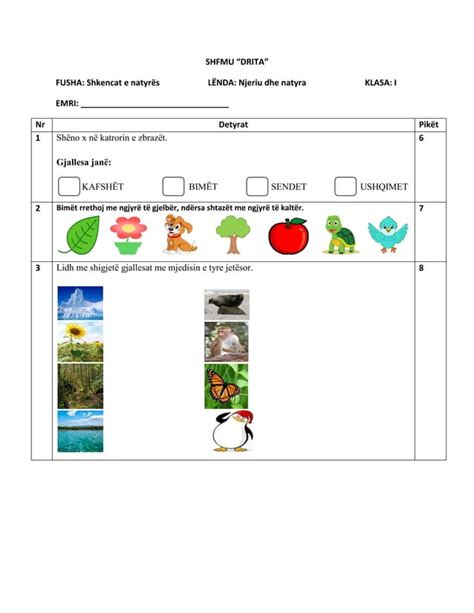 Modele Testesh Per Kl I Pdf