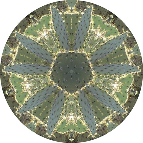 Fab Fabrications Kaleidoscopes From Nature Images Emphasizing Geometry