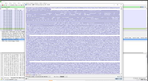 Kali Linux网络配置与文件传输实践 Csdn博客