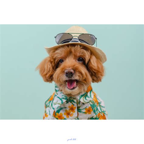 Geek Speaks Episode 6 The Importance Of Leveraging Data And Analytics In Talent Acquisition