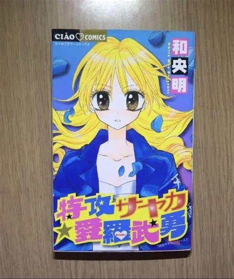 特攻サヤカ★愛羅武勇 メルカリ