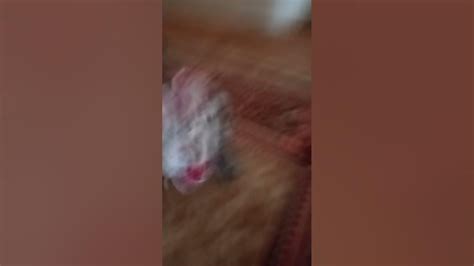 Noooooooooooooooooo Youtube