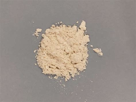 Our Industrial Microalgae Species Production Process Allmicroalgae