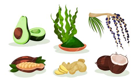 Premium Vector Set Of Plants And Fruits Spirulina Algae Avocado