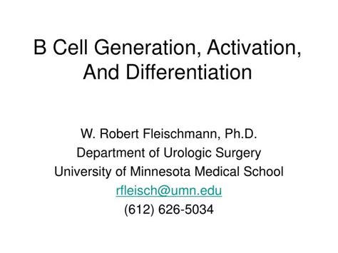 Ppt B Cell Generation Activation And Differentiation Powerpoint