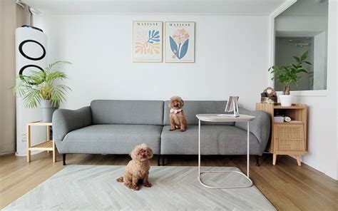 4인용 소파 고르기 팁 패브릭 가죽쇼파 1인용 2인용 3인용 사이즈 네이버 블로그