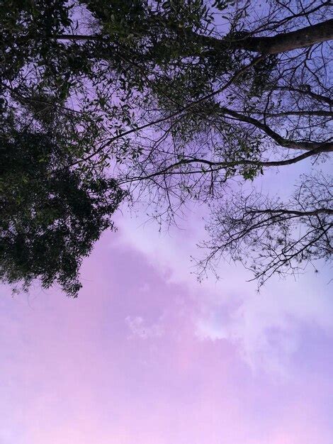 Premium Photo Violet Sky