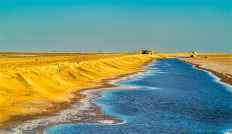 90 Endorheic Pictures