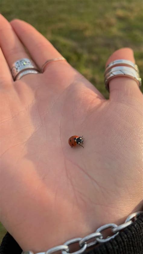 7 Ide Ui Ide Perjalanan Malam Budaya
