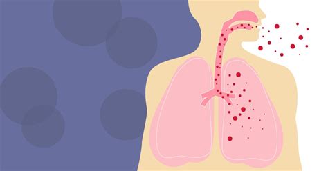 Radon Levels By Zip Code Protect Environmental