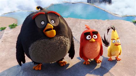 ‘the Angry Birds Movie Review Bird Fluke