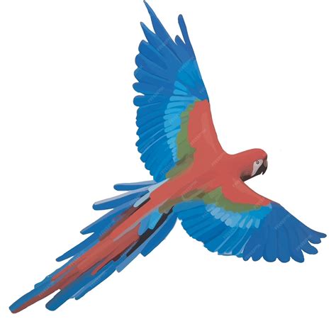 Premium Vector Parrot Macaw
