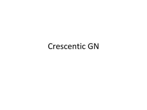 Crescentic Gn Ppt