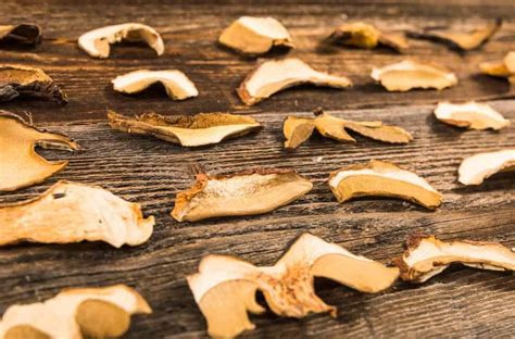 6 Types Of Drying Methods Which Way Is Best For You