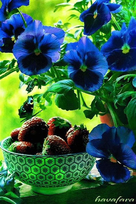 Pin En Grace  De Flores  Hermoso Flores