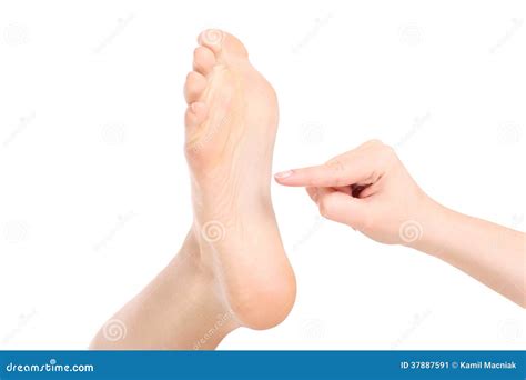 Foot Tickling Stock Image Image Of Skin Body Hand 37887591