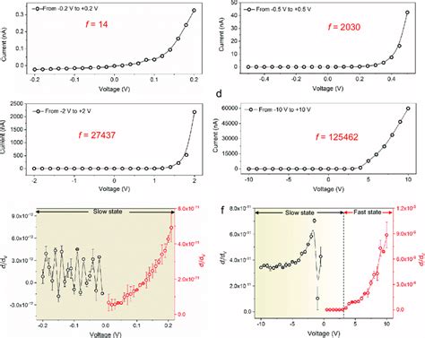 Voltage Dependent Ionic Rectification Properties Ion Transport
