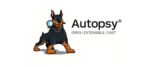 Autopsy On Kali Linux A Complete Overview