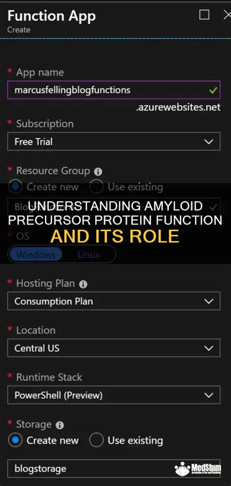 Understanding Amyloid Precursor Protein Function And Its Role Medshun