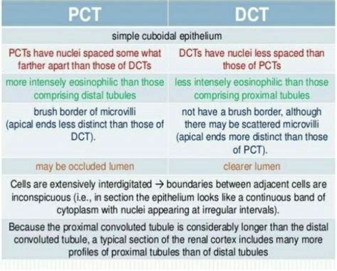What Is Difference Between Pct And Dct Form Example Download
