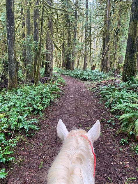 Rebers Ranch Llc Yamhill Or