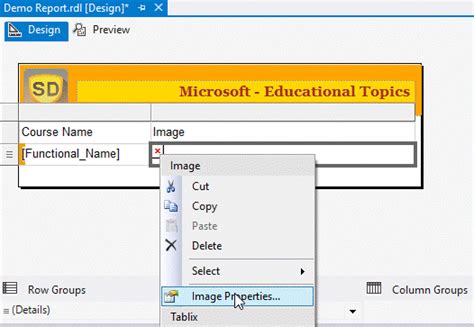 Microsoft Business Intelligence Data Tools Ssrs Read Images From The Sql Server Database