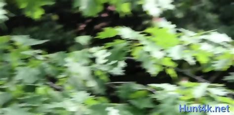 Dinky Sucking Delights From Goluptious Sweetheart Eporner