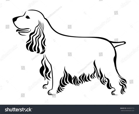 English Cocker Over 720 Royalty Free Licensable Stock Vectors And Vector