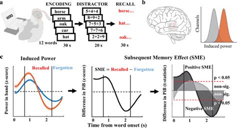 Memory Encoding
