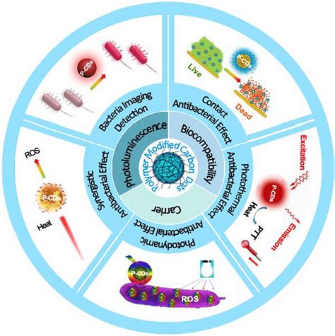 Illustration Of P Cds For Bacteria Detection And Inactivation Download Scientific Diagram