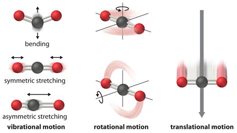 193 The Molecular Interpretation Of Entropy Chemistry Libretexts