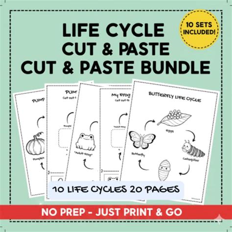 Life Cycle Worksheets Bundle Cut And Paste Sequencing Activities