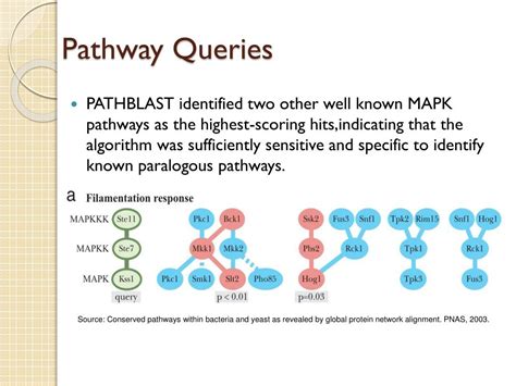 Ppt Ppi Network Alignment Powerpoint Presentation Free Download Id