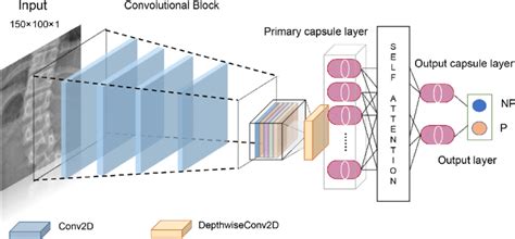 proposed efficient capsnet model with self attention routing for download scientific diagram
