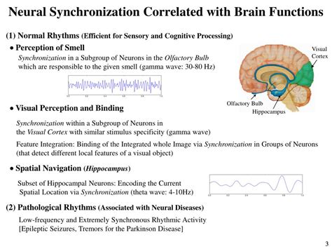 Ppt Noise Induced Bursting Synchronization In A Population Of Coupled