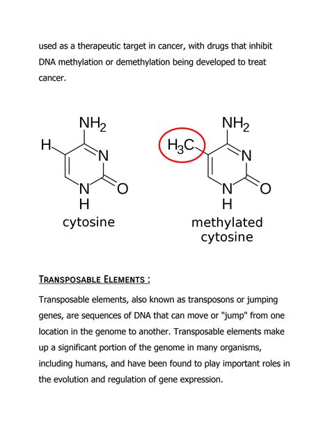 Solution Molecular Biology Notes Dna Methylation Transposable Elements Translation Post