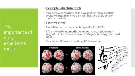 Auditory System Plasticity Pptx