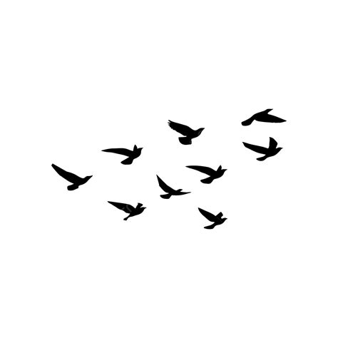 Flying Birds Vector Design Flying Birds Bird Silhouette Bird Vector Png And Vector With
