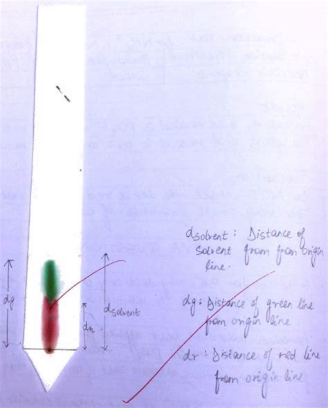 Chromatography Sheet With Readings Notes For Free
