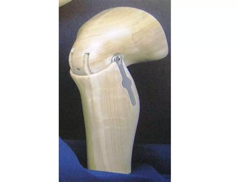 Prosthetics Knee Jointsppt