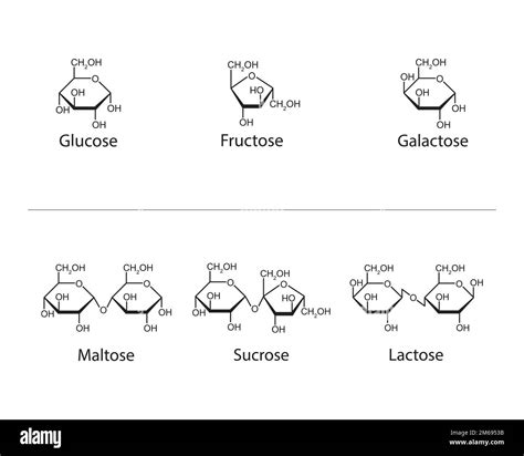 Simple Sugars Stock Vector Images Alamy