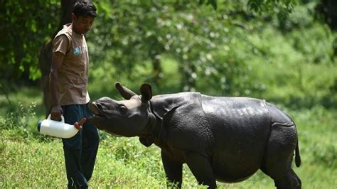 Environment Ministry Launched National Conservation Strategy For Indian