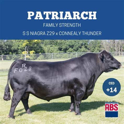 The Modern Calving Ease Sire Abs Global Us