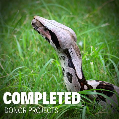 Donate The Texas Zoo